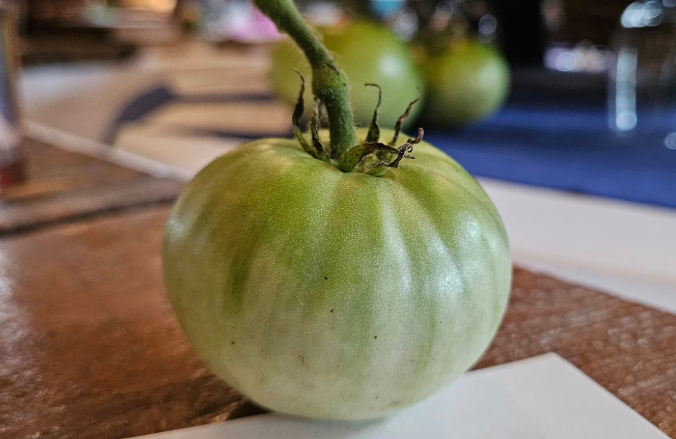 Heirloom Tomato Festival continues to add new events - News Now Warsaw