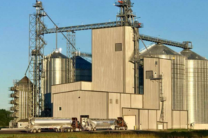 Largest US egg producer acquires Creighton Bros egg production - News ...